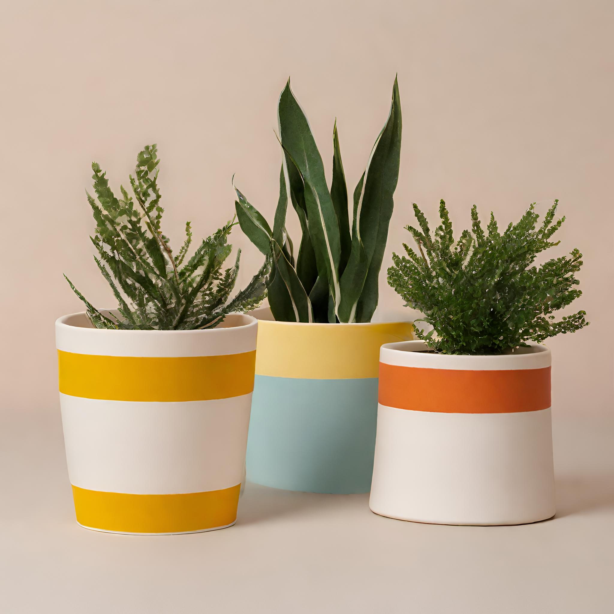 Wholesale Multicolor Striped Ceramic Pots – Perfect for Indoor Gardens ...